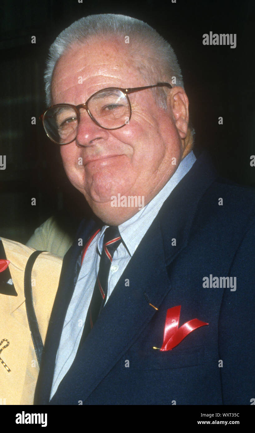 William Windom, 1992, Photo By Michael Ferguson/PHOTOlink Stock Photo ...