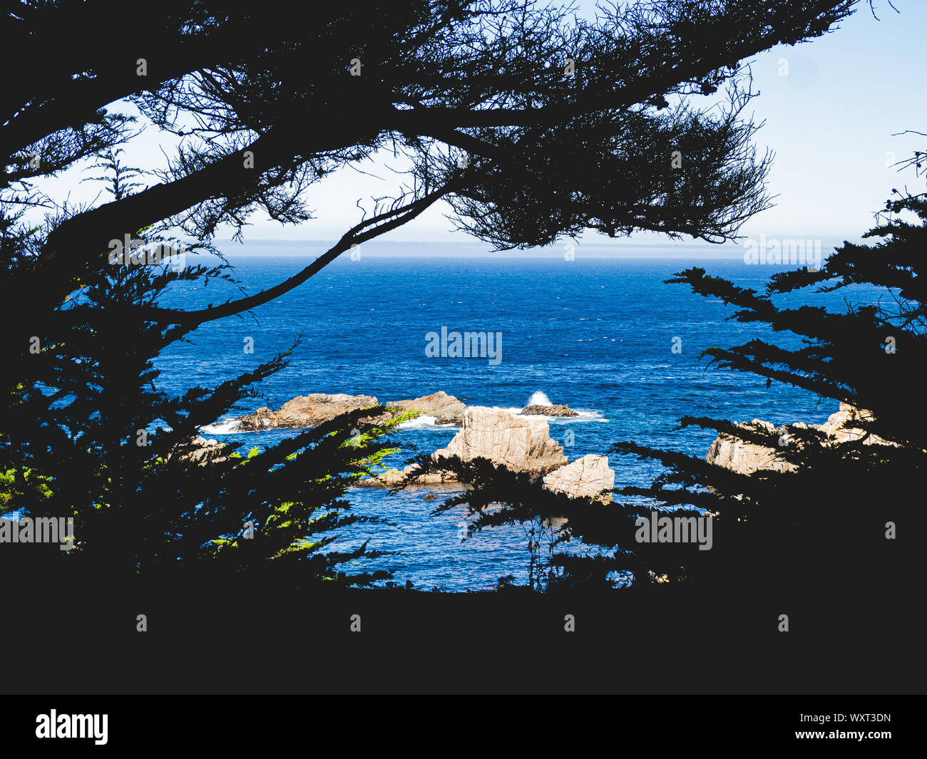 A fairy's view of the pacific ocean Stock Photo - Alamy