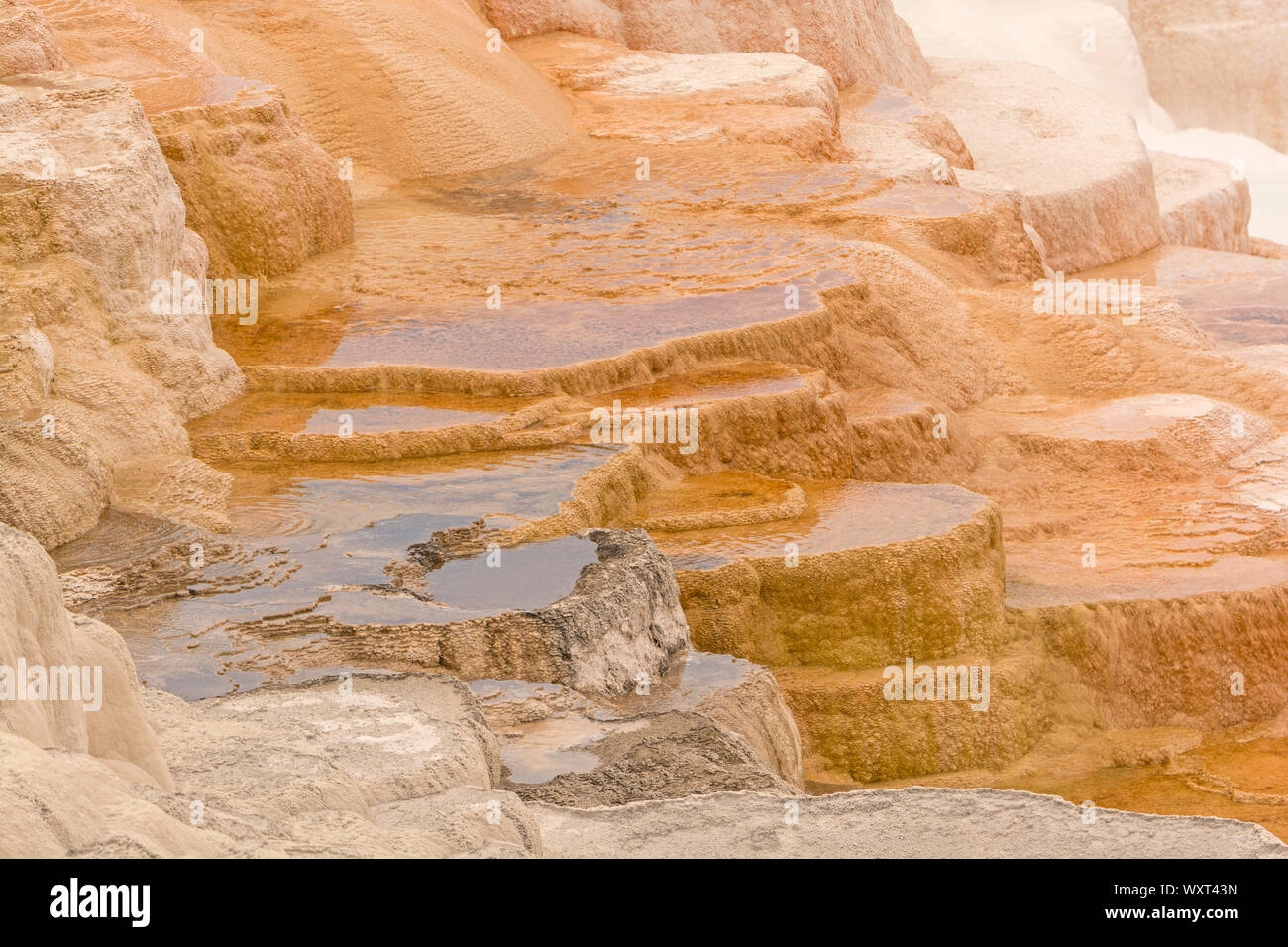 Limestone terrace hi-res stock photography and images - Alamy