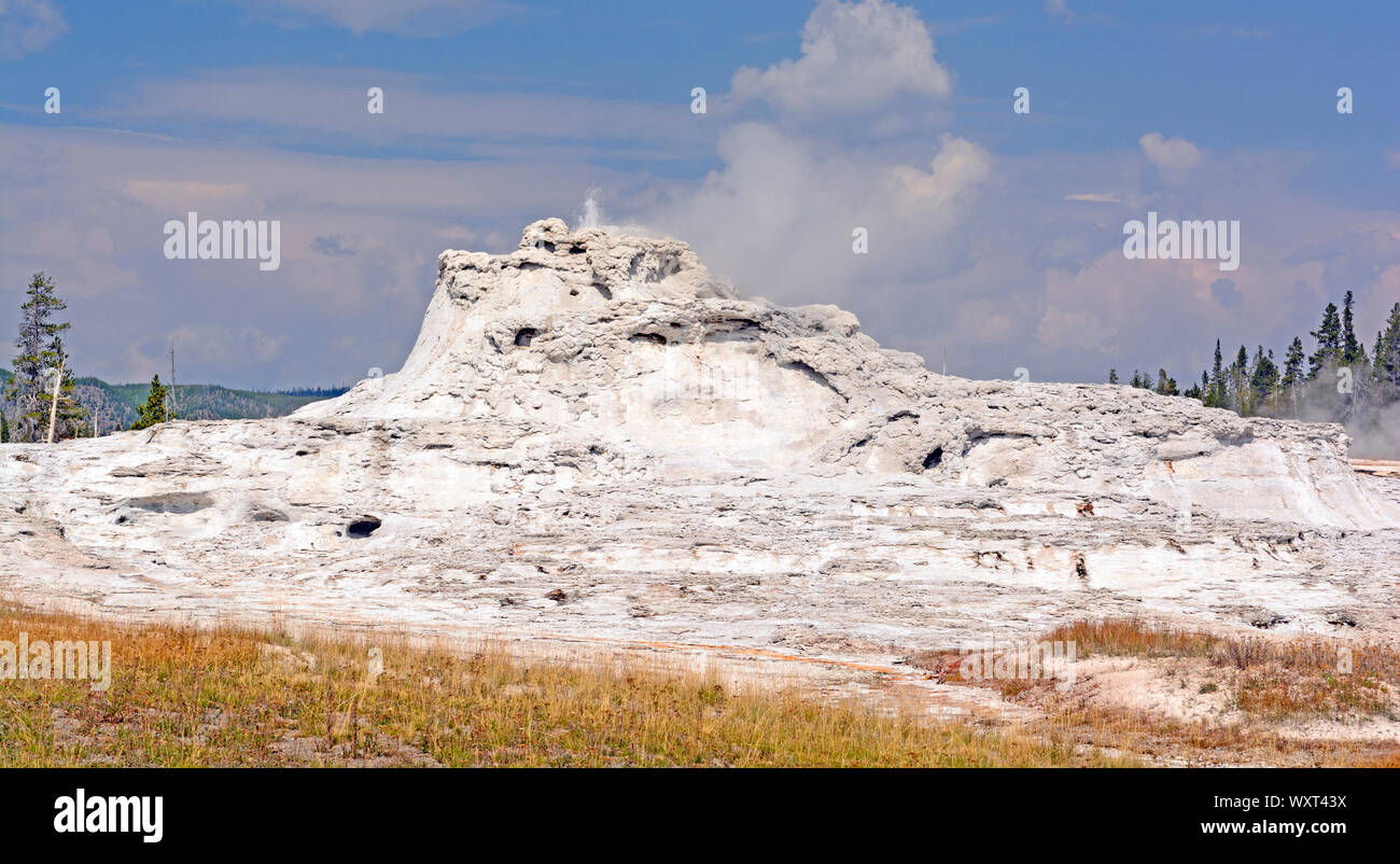 The Cone of Castle Geyser in Yellowstone National Park Stock Photo - Alamy