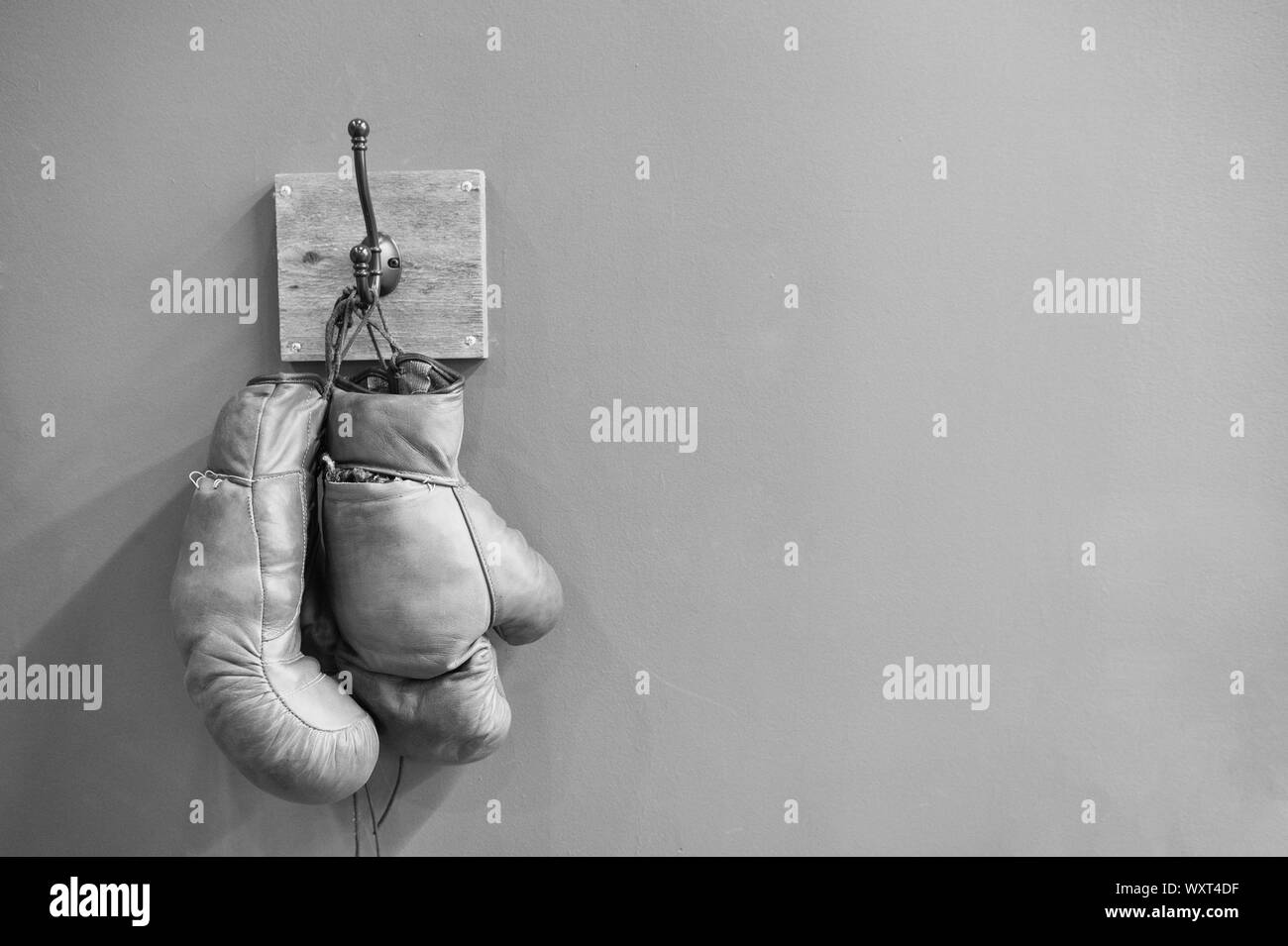 Museum of box sport. Box exhibition retro attributes. Boxing school ...