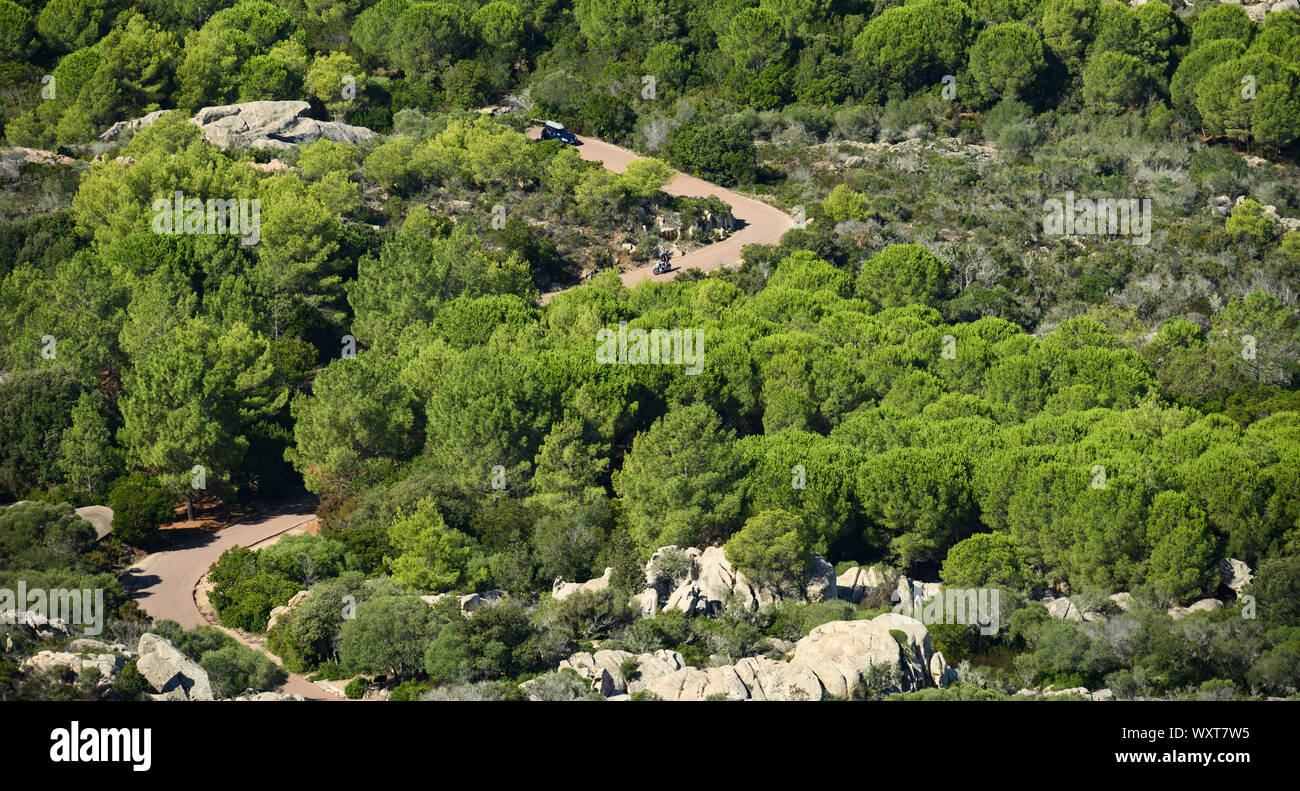 Curvy trees hi-res stock photography and images - Alamy
