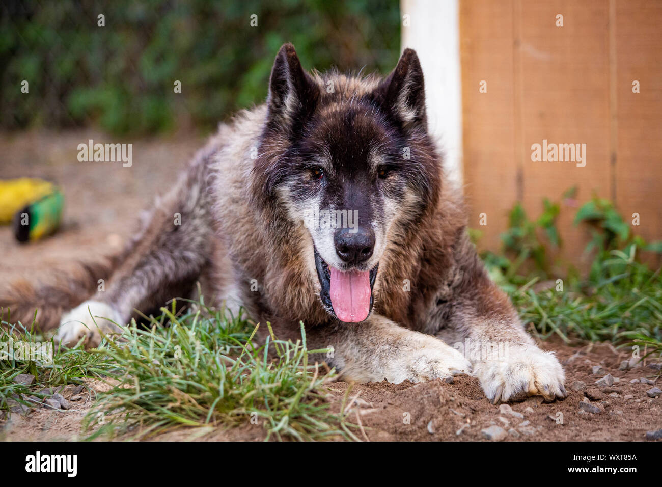 Resting outside hi-res stock photography and images - Alamy