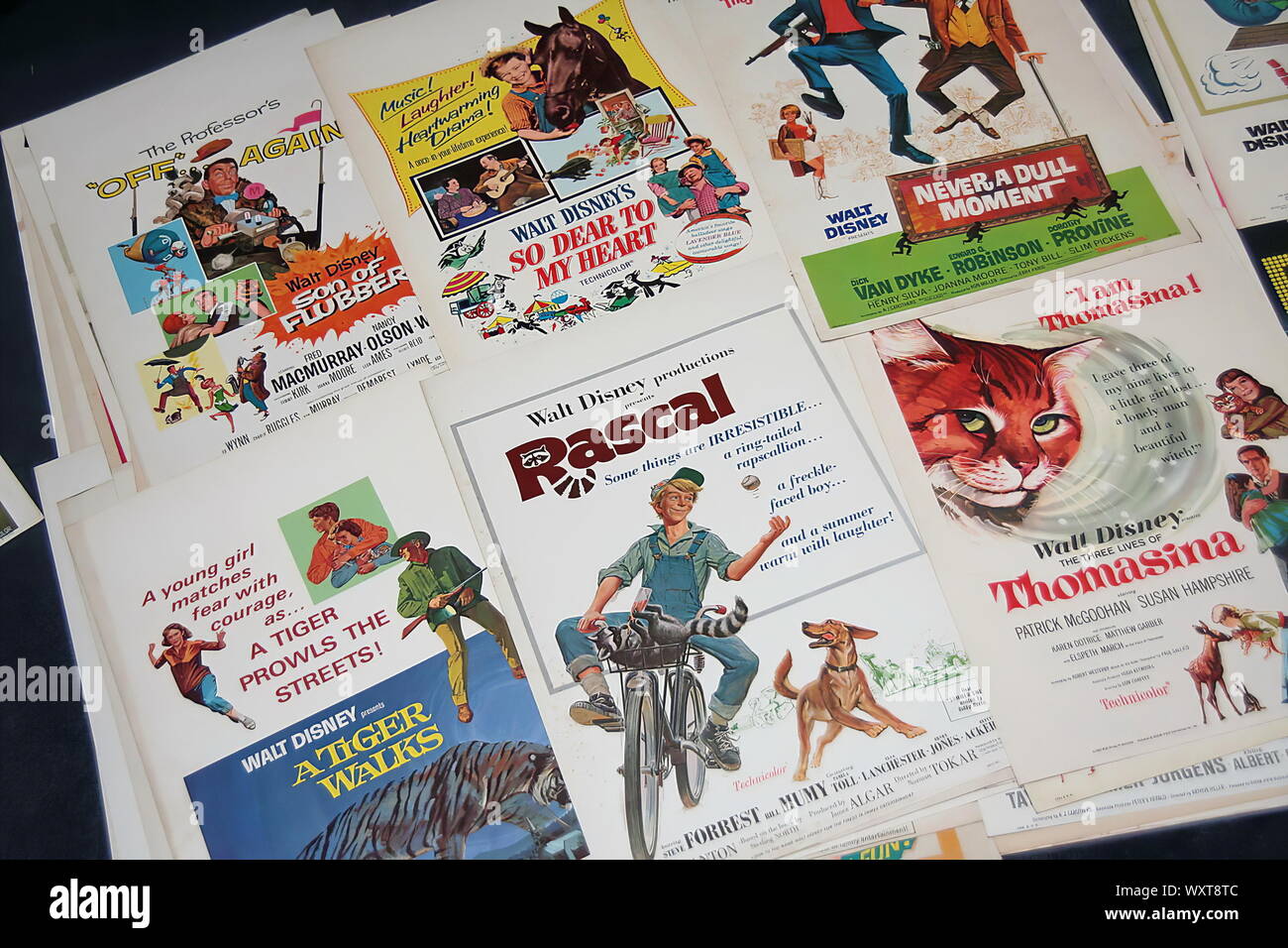 Classic Movie Poster Lot of 1960s Walt Disney Family Films Stock Photo ...