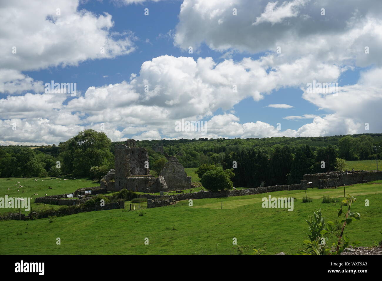 OLD RUINS IN JERPOINT PARK, IRELAND Stock Photo - Alamy