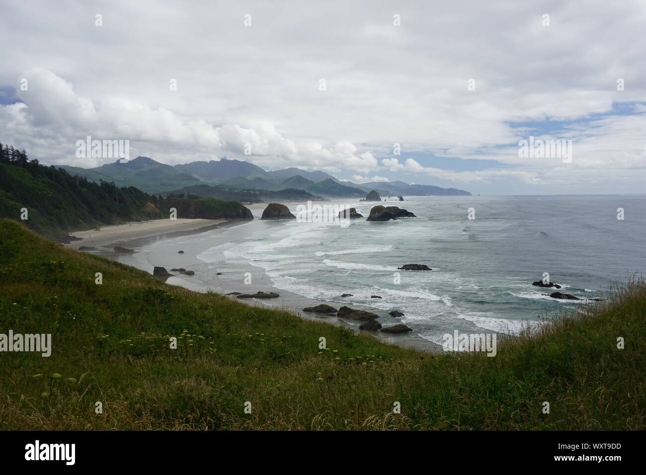 VIEW OF OREGON COAST LINE FROM ECOLA STATE PARK Stock Photo - Alamy