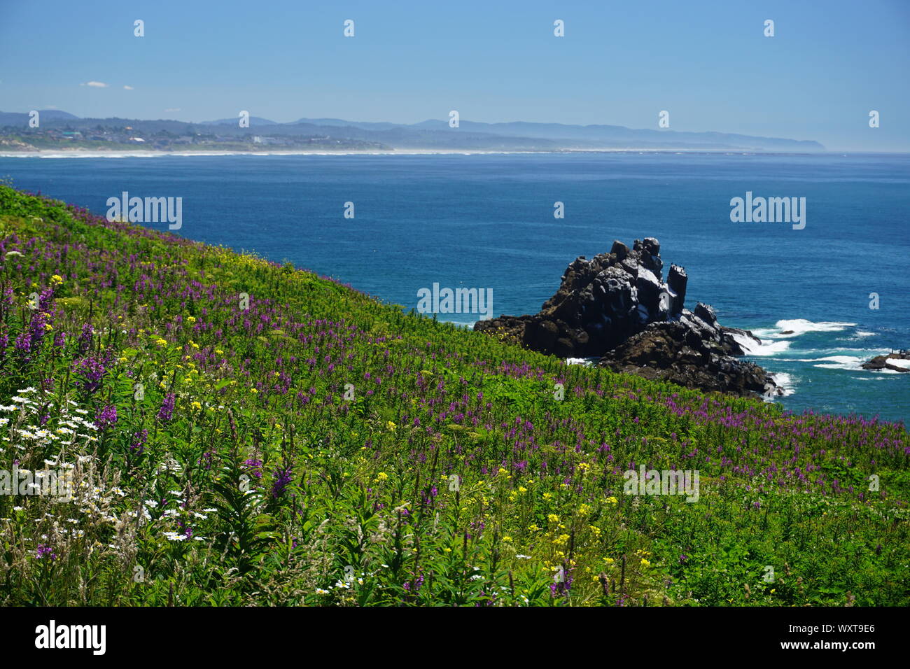 VIEW OF OREGON COAST LINE FROM ECOLA STATE PARK Stock Photo - Alamy