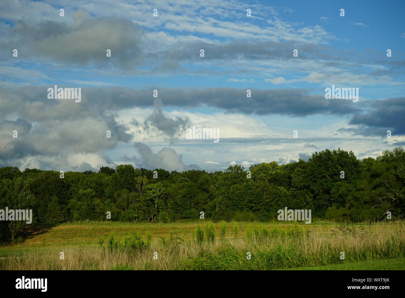Missouri prairie hi-res stock photography and images - Alamy