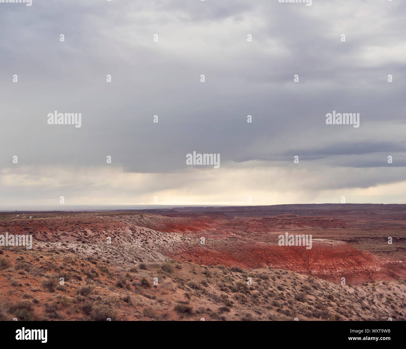 Rainy desert arizona hi-res stock photography and images - Alamy