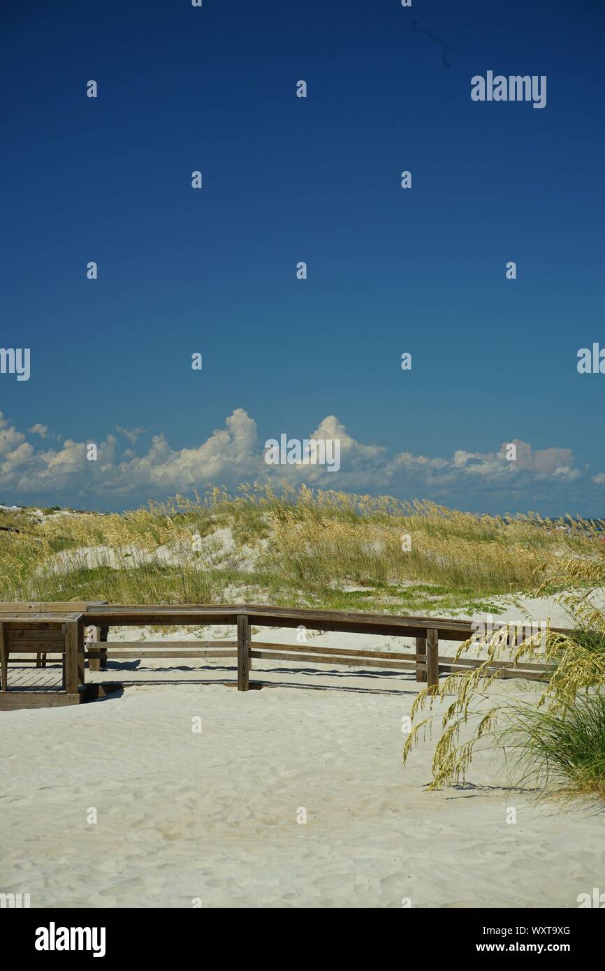 Dune walkway hi-res stock photography and images - Alamy