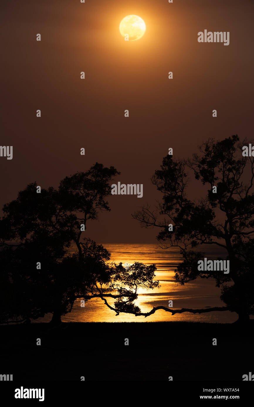 Moon reflecting sun light hi-res stock photography and images - Alamy