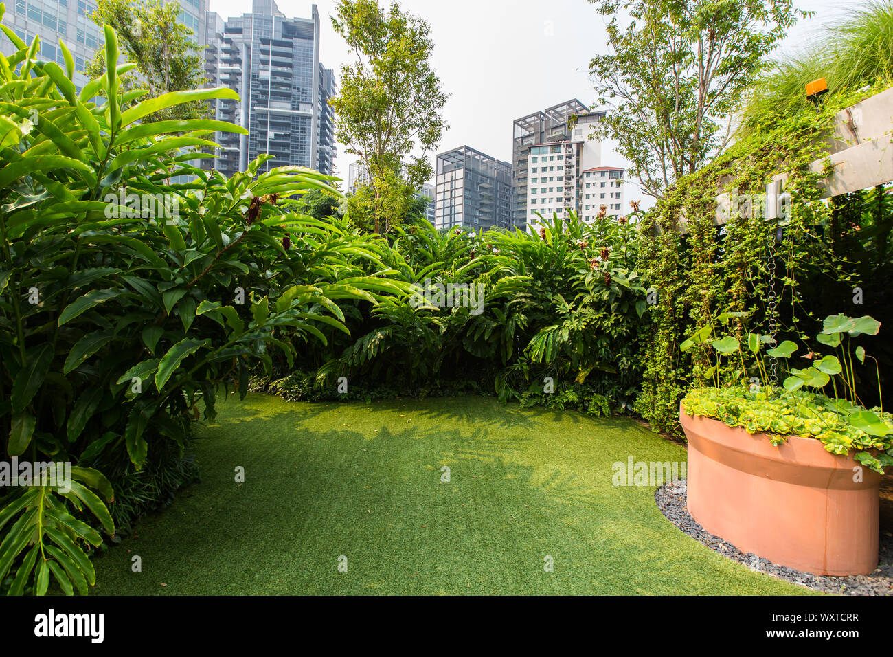 Rooftop garden landscaping space, planted with different type of plants ...