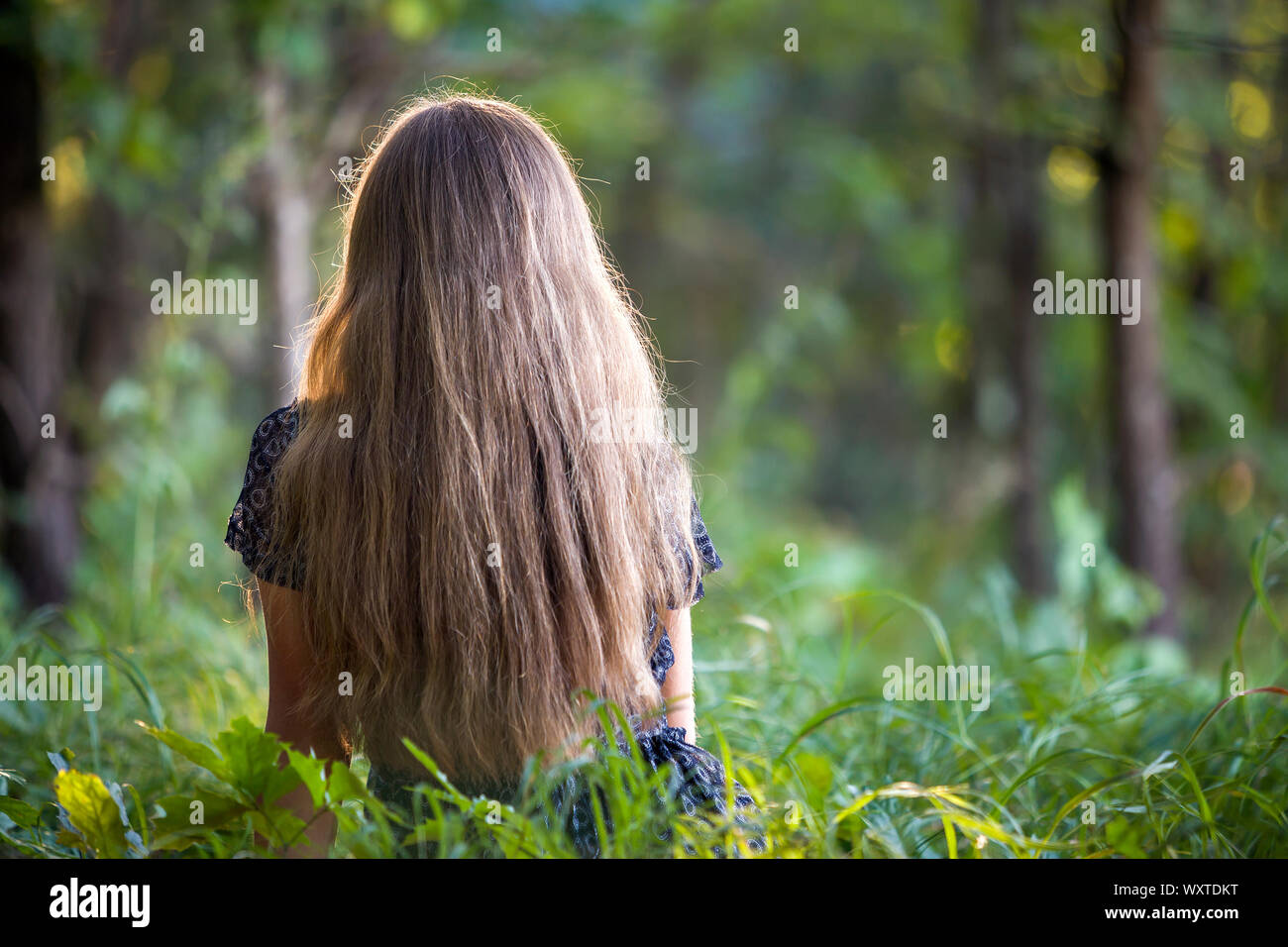 Back View Of A Woman With Long Hair Sitting Outdoors In Forest Enjoying
