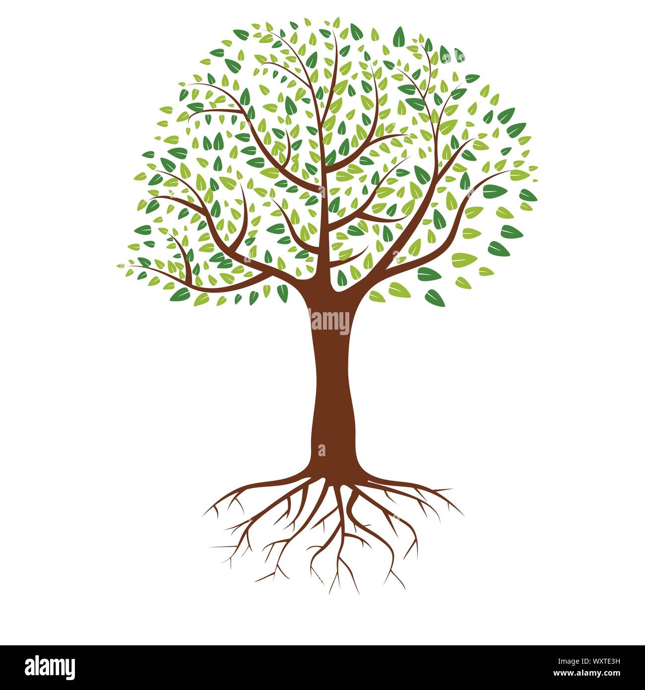 Plain Tree with green leaves and roots with flat and solid colors for ...
