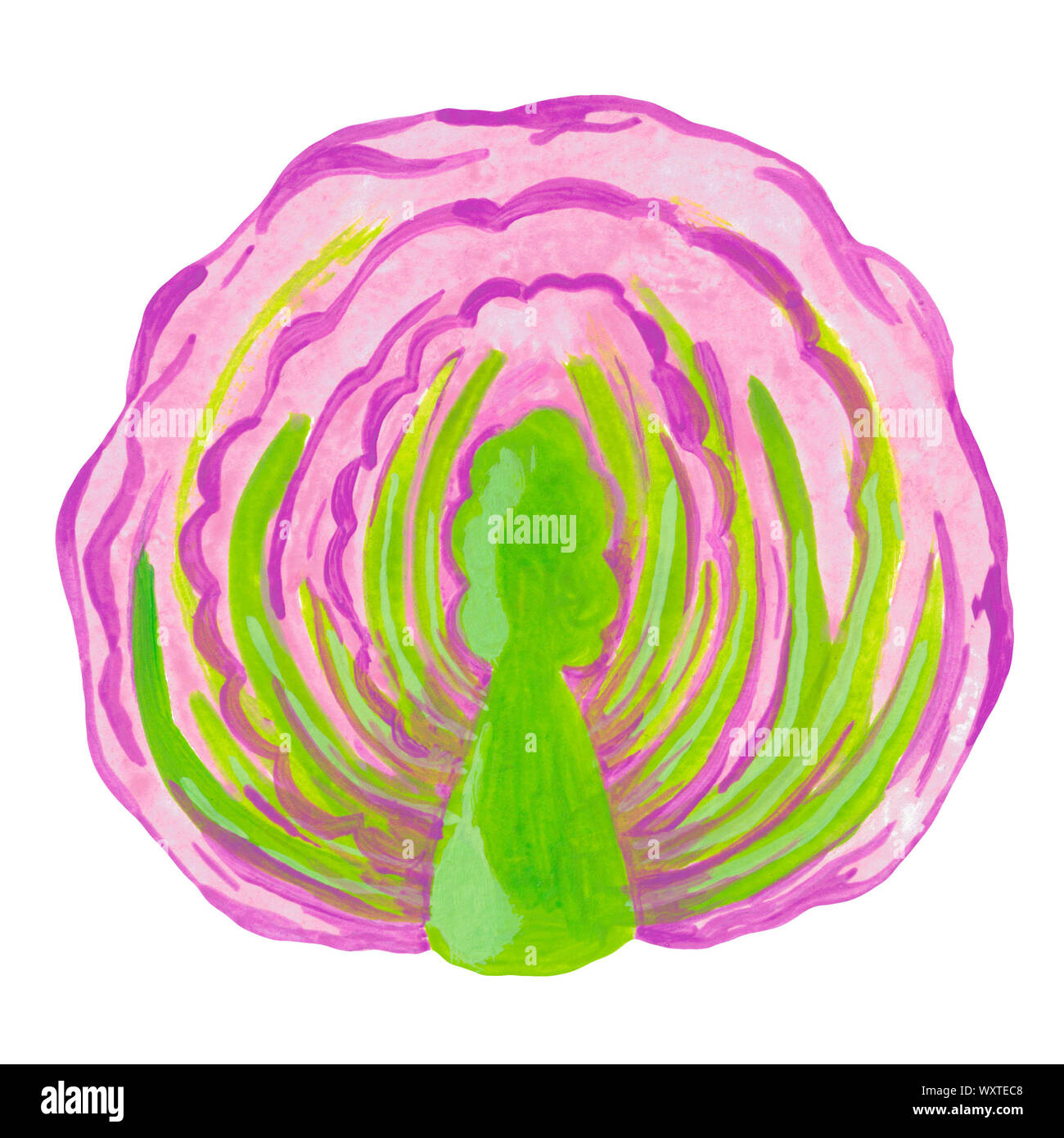 Watercolor illustration of a red cabbage on a white background. Hand ...