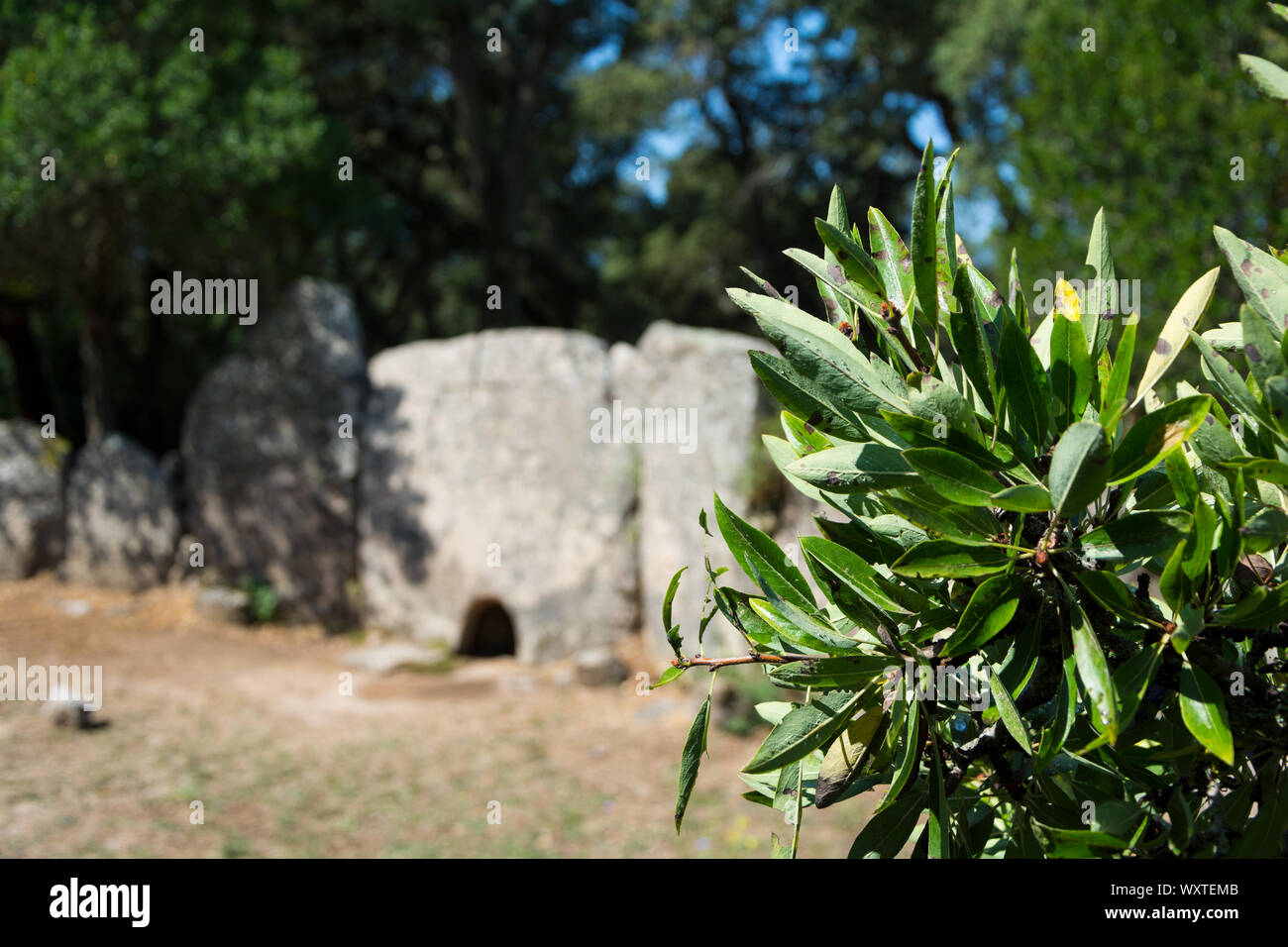 August 23, 2019 - tempio pausania , Italy: Tomb of giants PASAREDDA ...