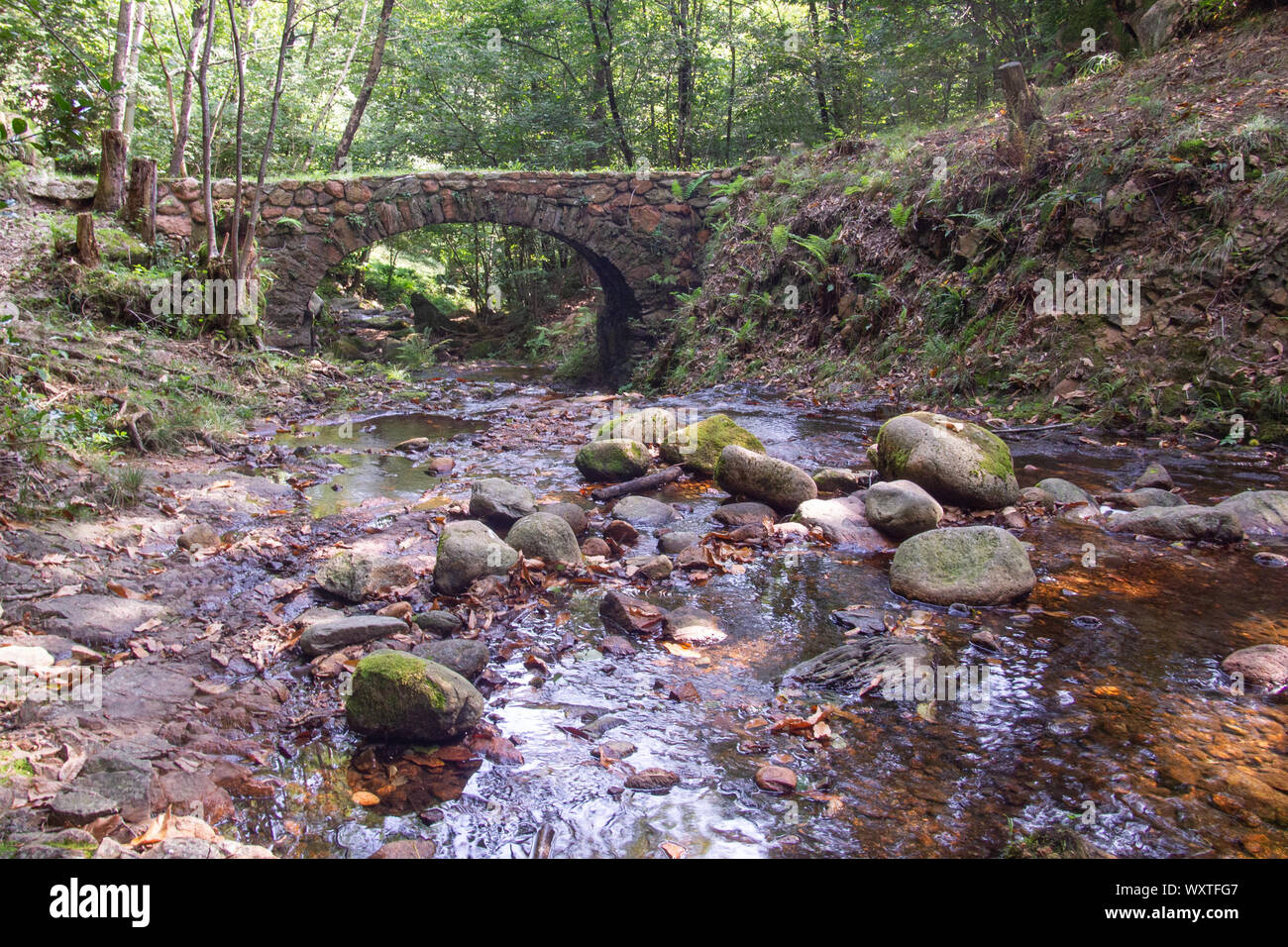 stone arch bridge built over a stream in the woods Stock Photo - Alamy