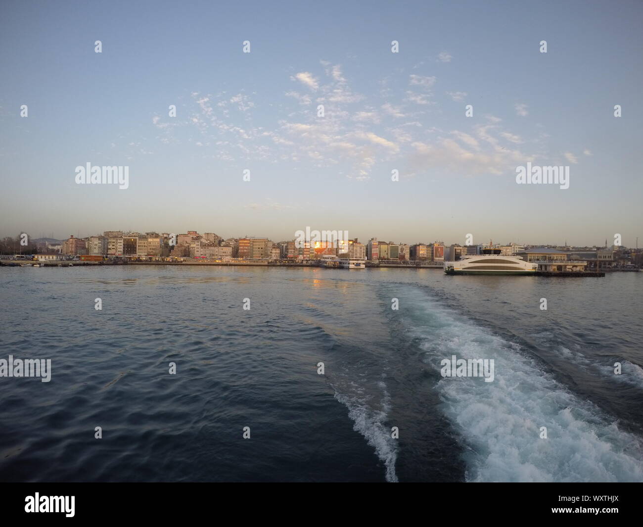 Turkey on water Stock Photo - Alamy