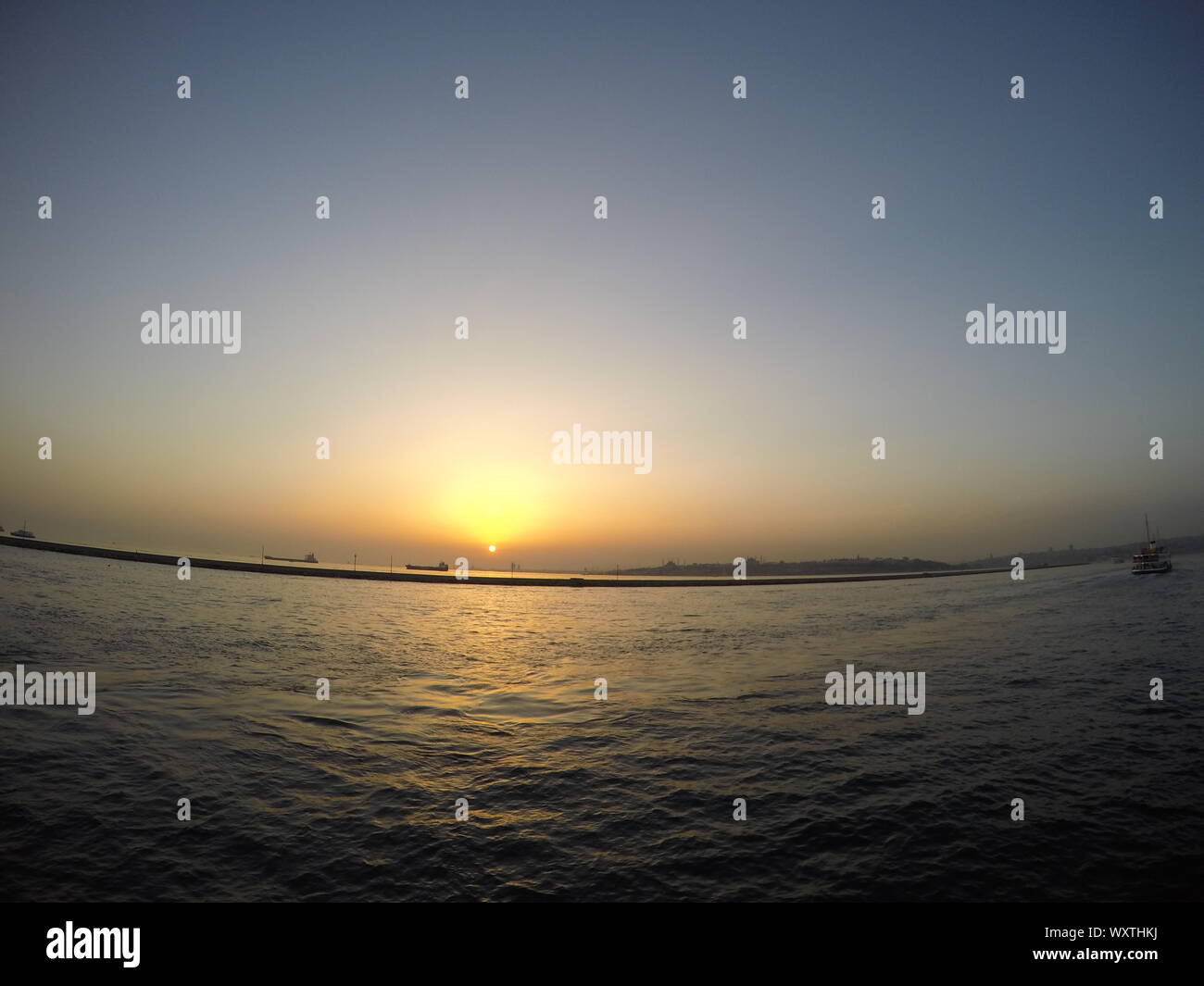 Turkey on water Stock Photo - Alamy