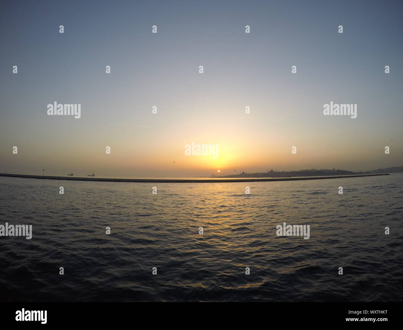 Turkey on water Stock Photo - Alamy