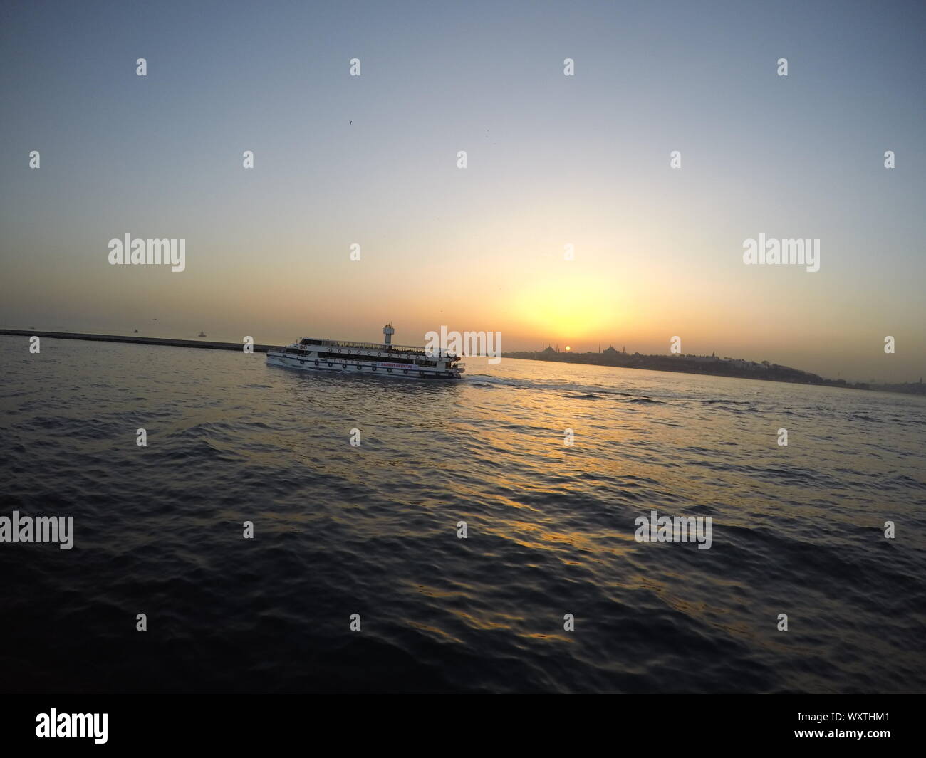 Turkey on water Stock Photo - Alamy