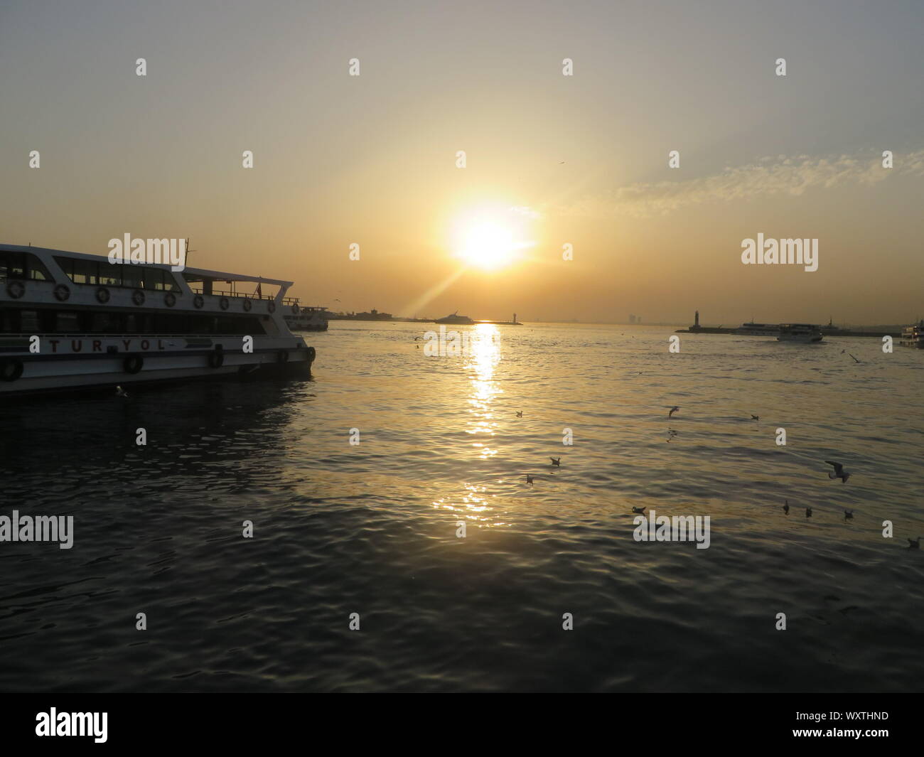 Turkey on water Stock Photo - Alamy