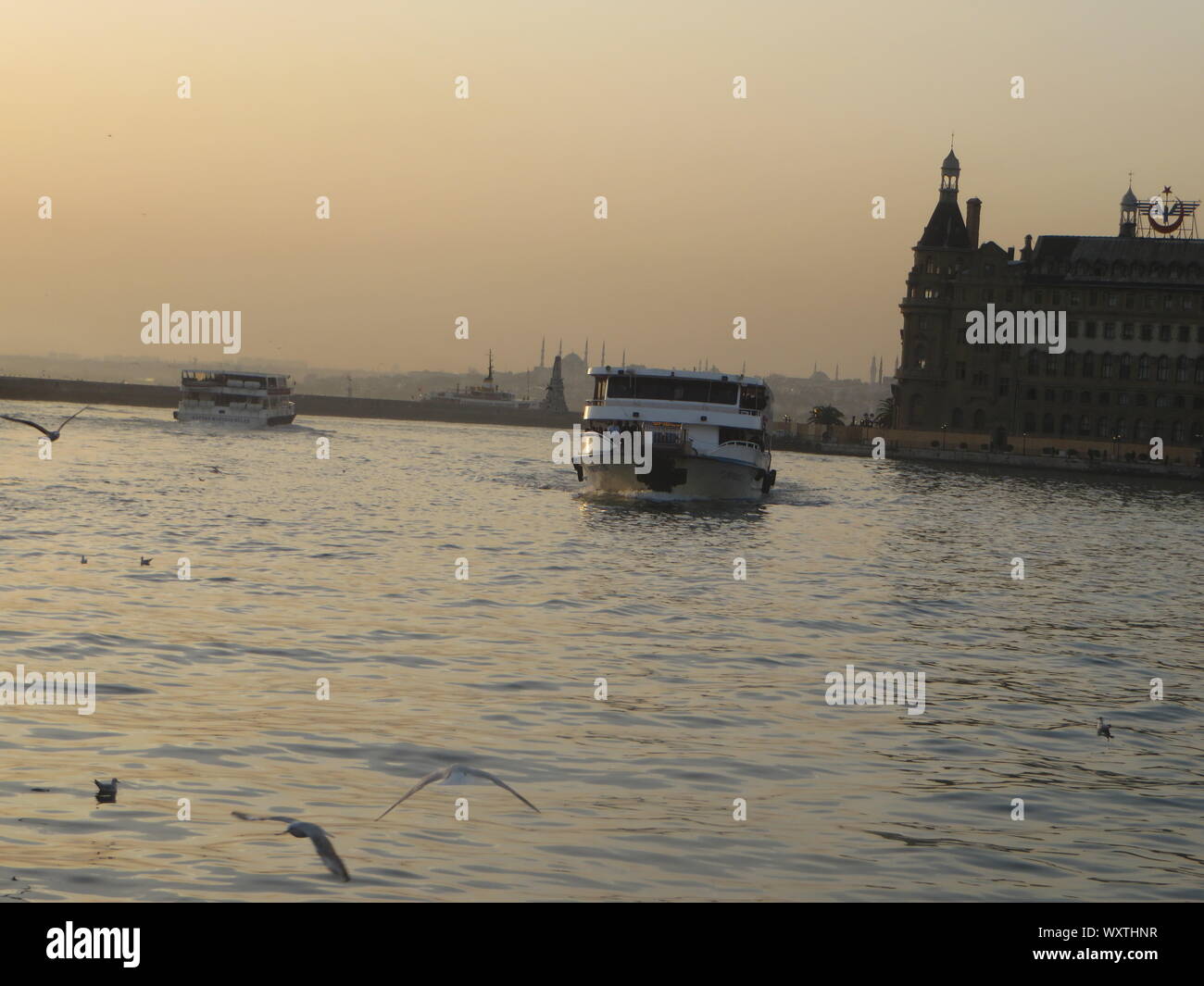 Turkey on water Stock Photo - Alamy