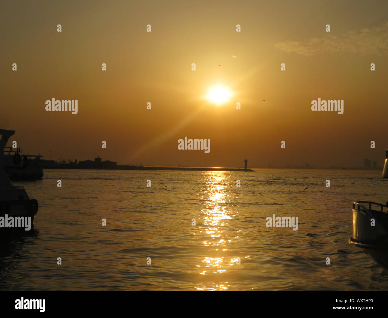 Turkey on water Stock Photo - Alamy