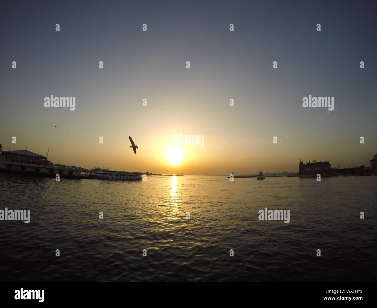 Turkey on water Stock Photo - Alamy