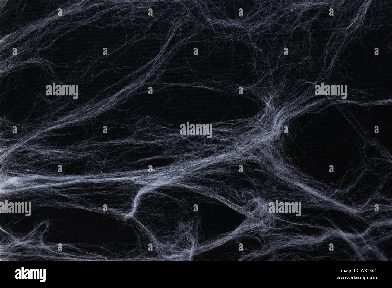 Fake spider web hi-res stock photography and images - Alamy