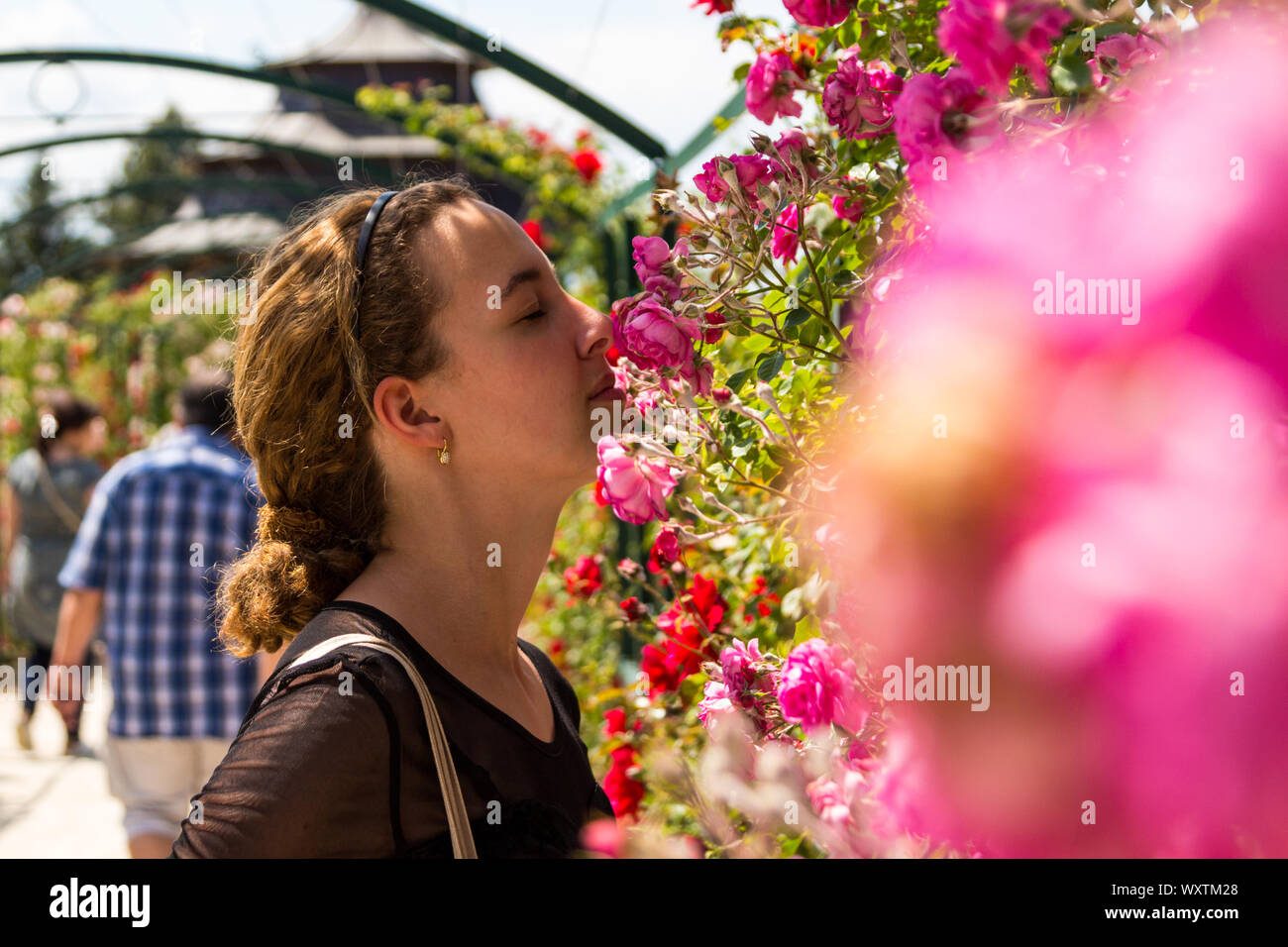Teenage girl smelling pink roses in the restored rose garden of ...