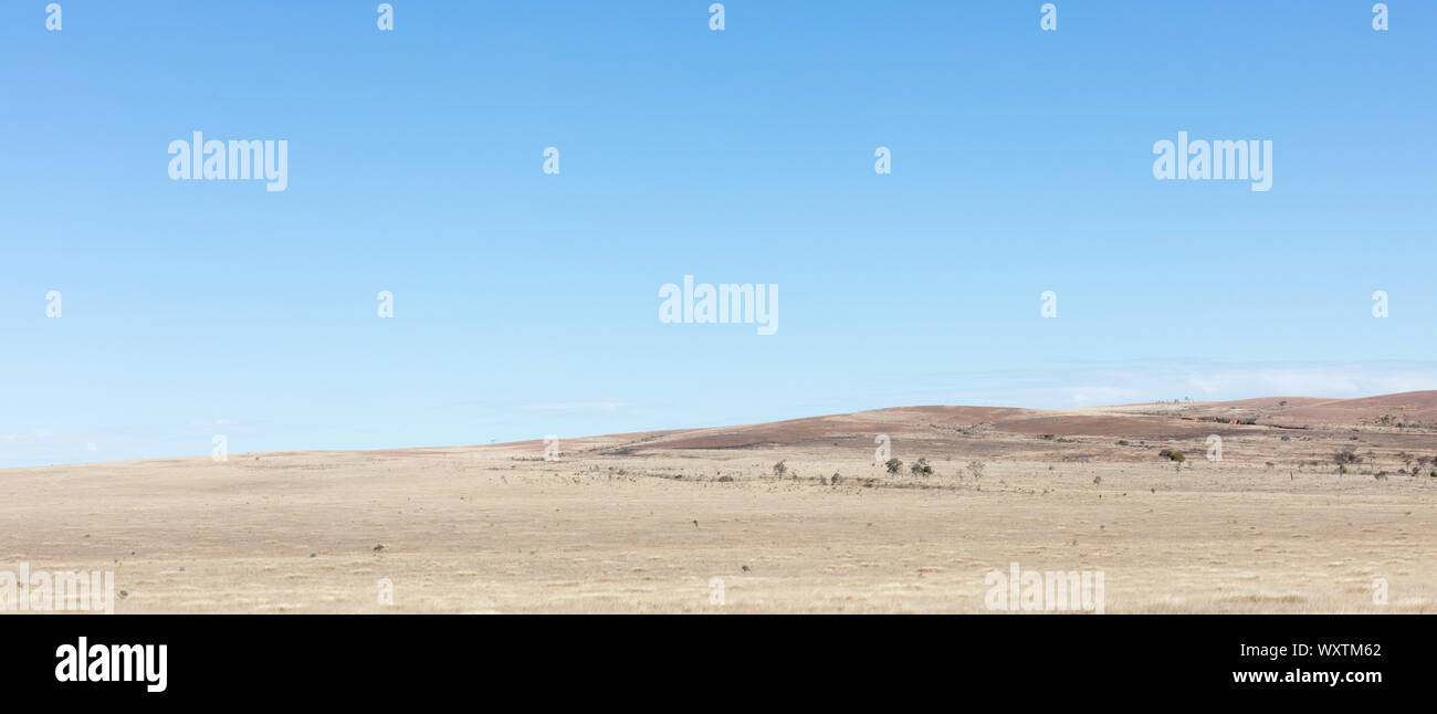 Madagascar dry hi-res stock photography and images - Alamy