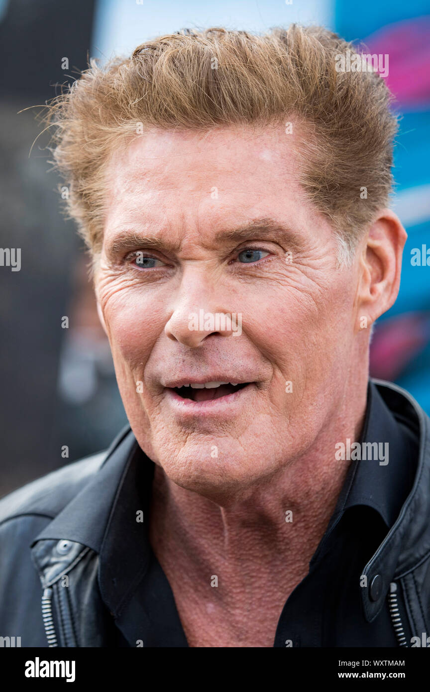 David hasselhoff hi-res stock photography and images - Alamy