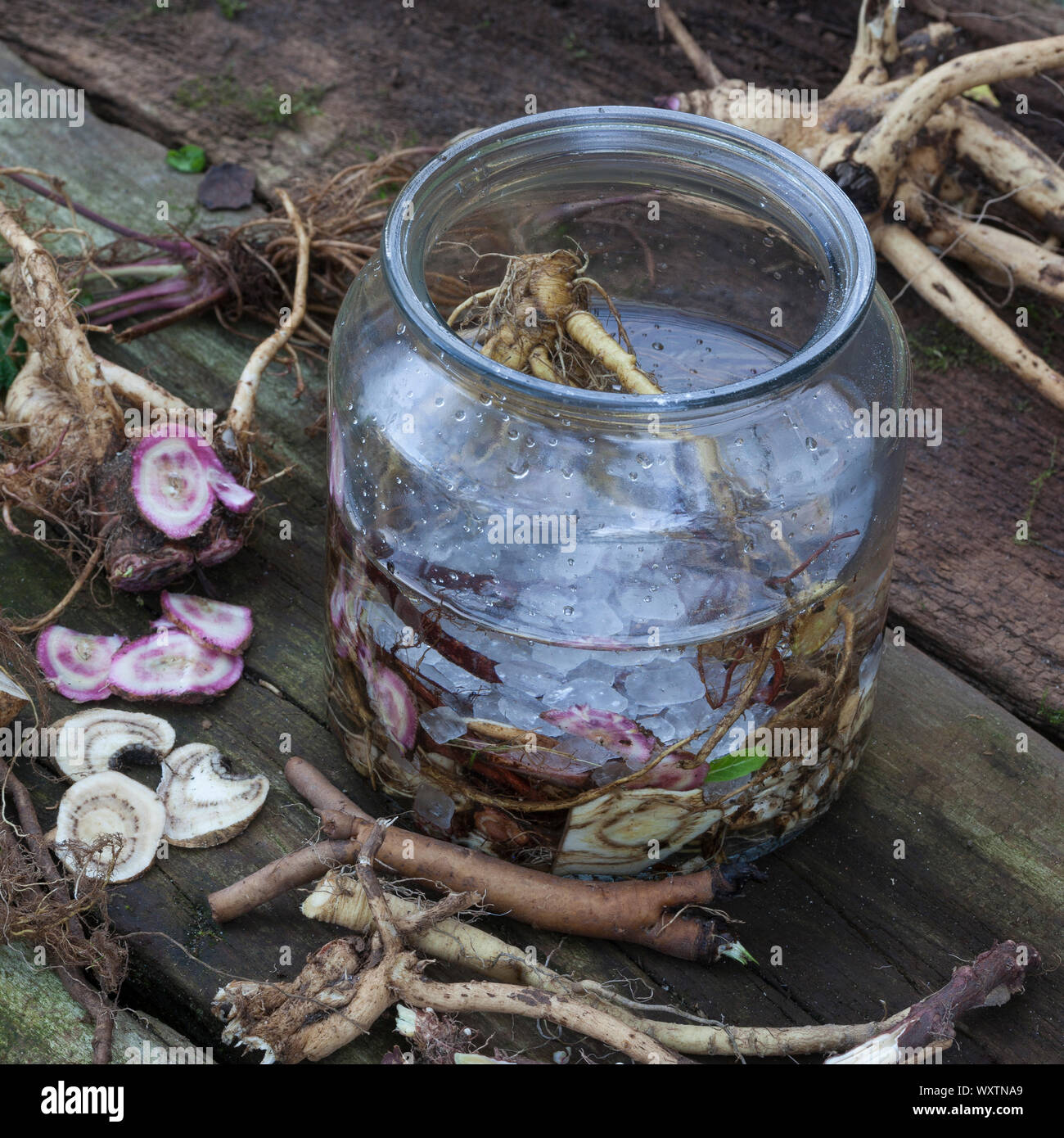 Wurzelschnaps hi-res stock photography and images - Alamy