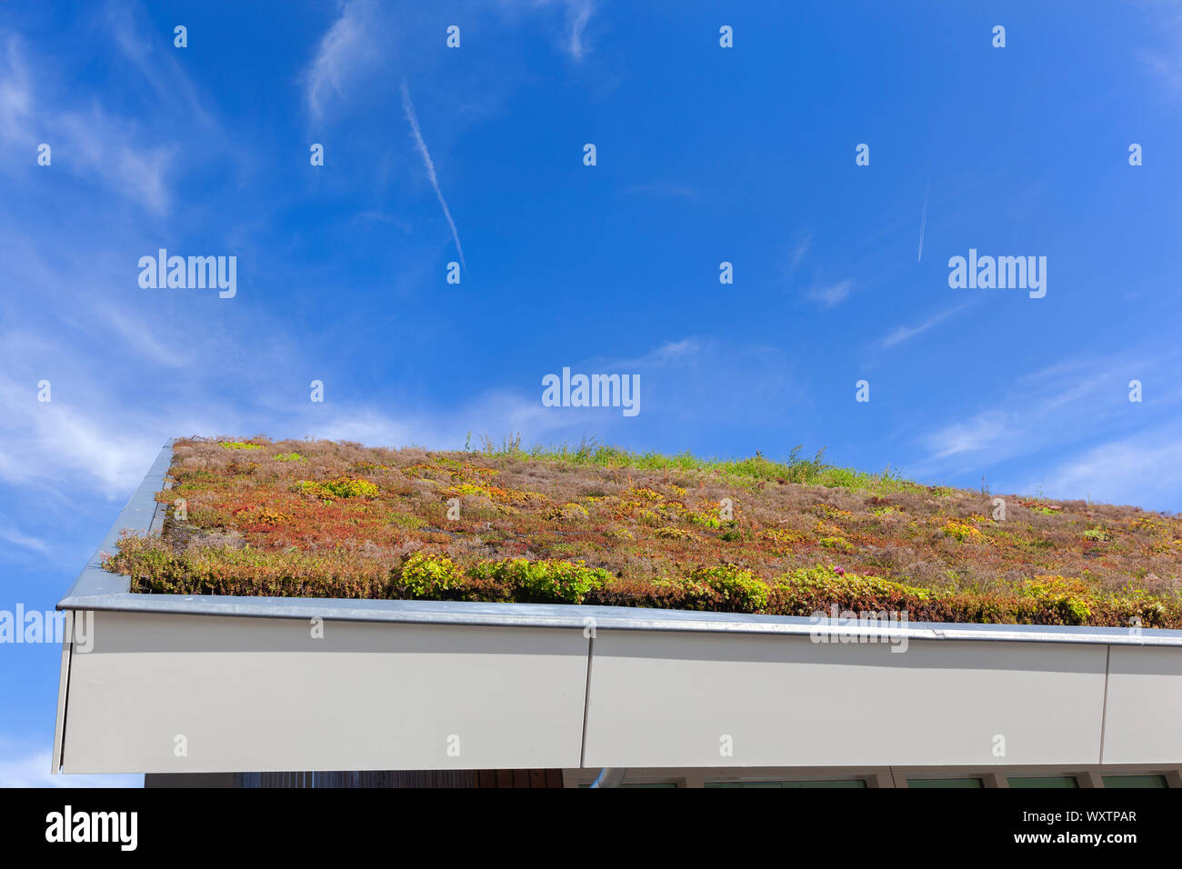 Ecological roofing hi-res stock photography and images - Alamy
