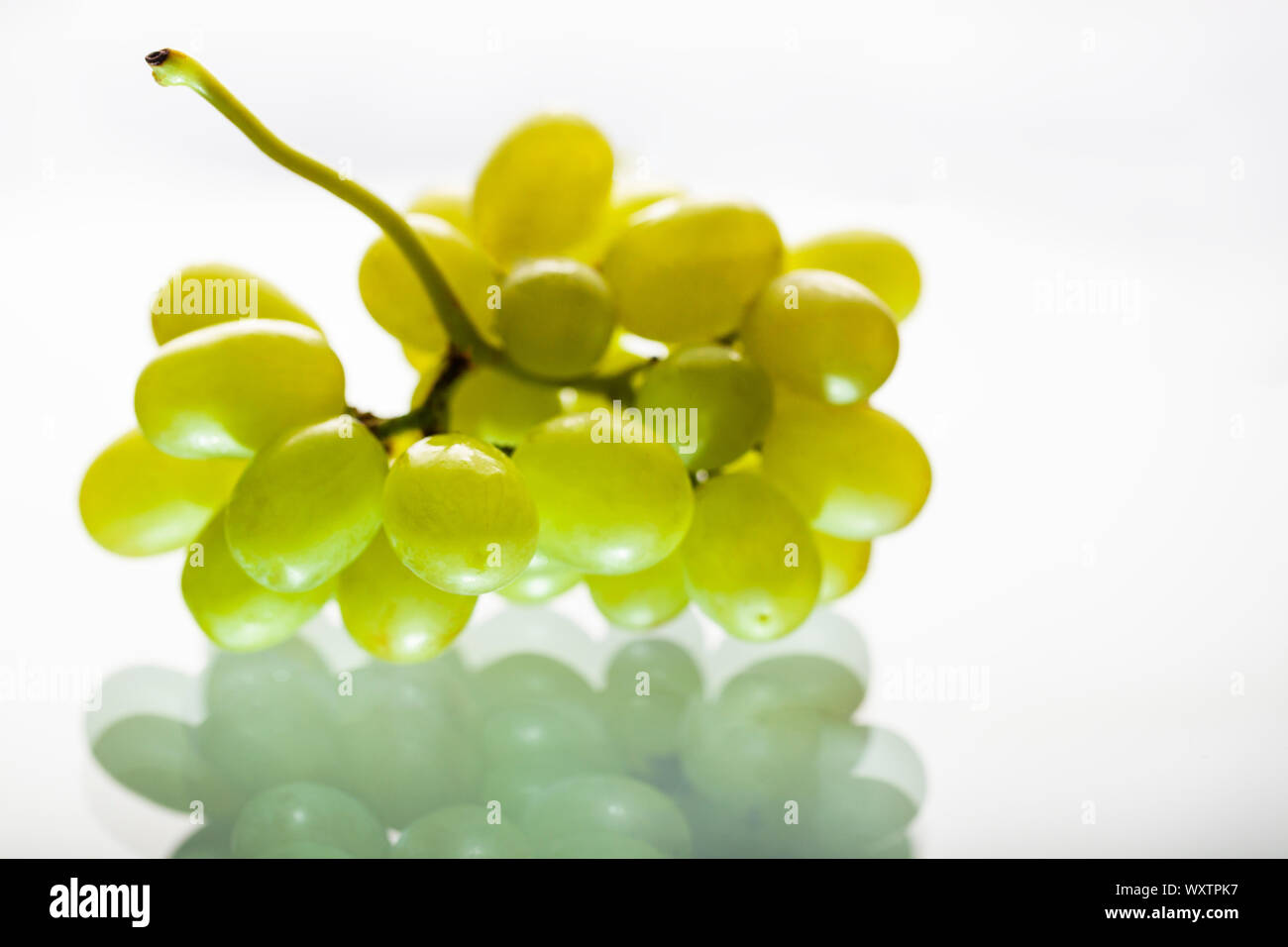Bunch of white grapes from Greece with reflection on a glass table ...