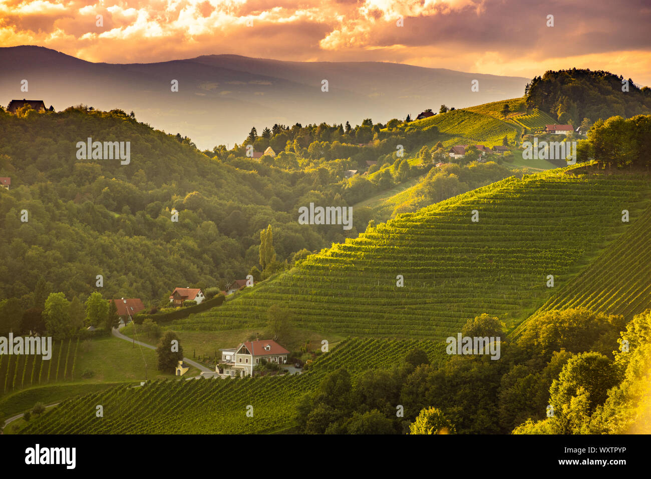 Leibnitz house hi-res stock photography and images - Alamy