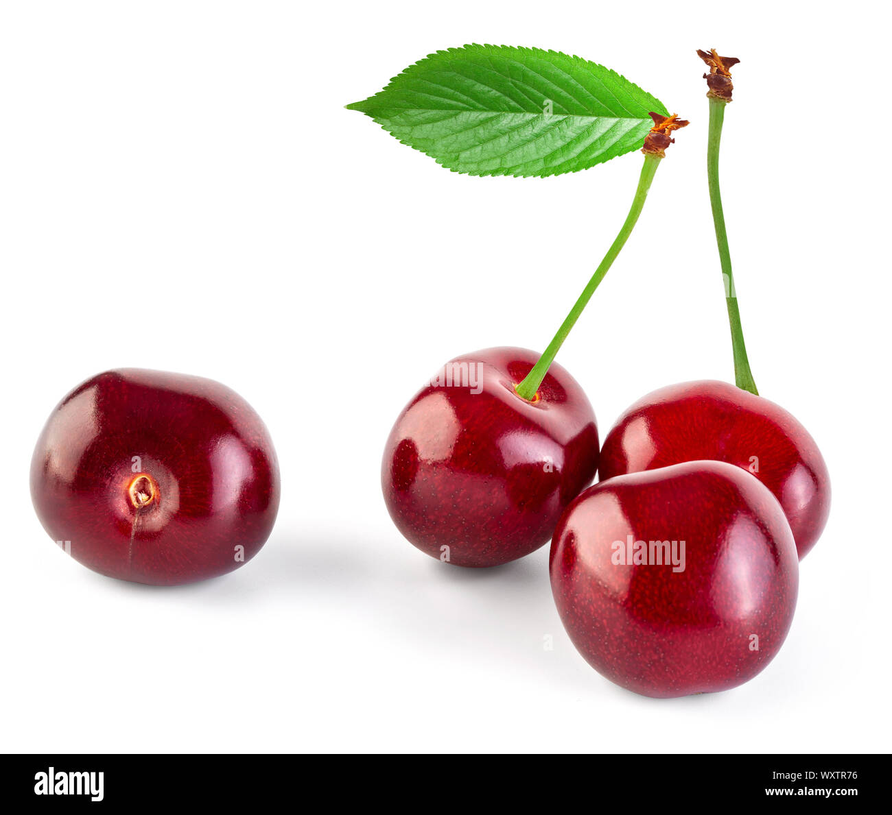 Cherry isolated on white background Stock Photo - Alamy