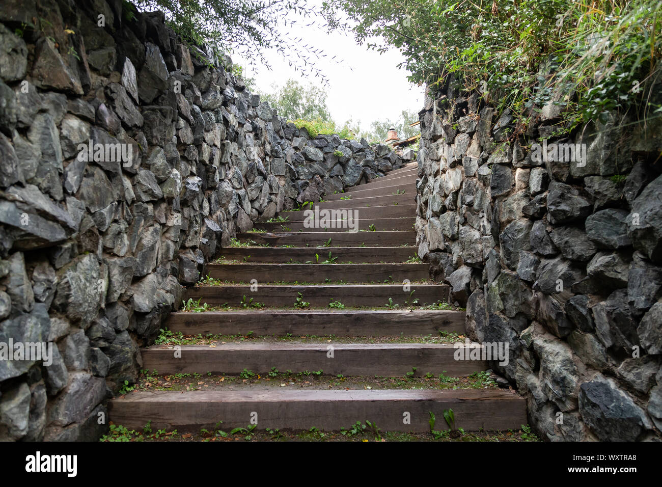 A long high staircase with wooden steps extending upward surrounded by ...