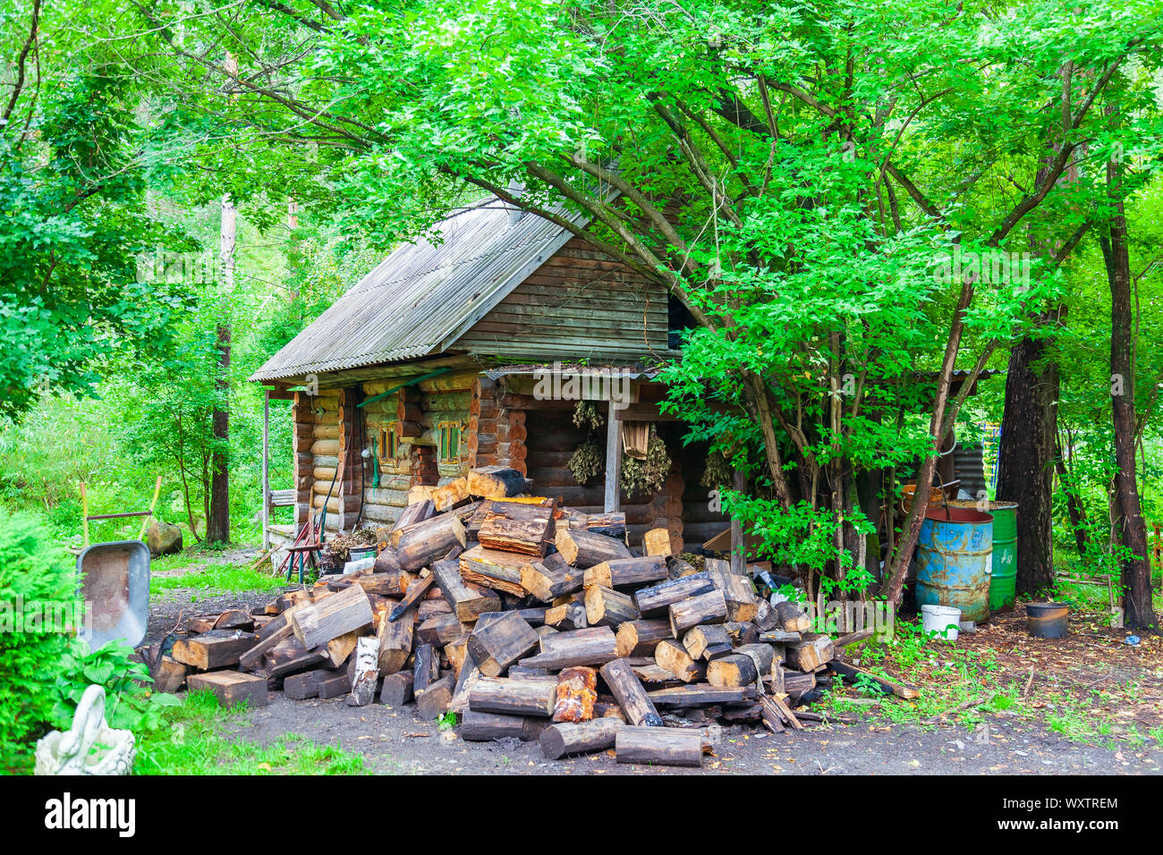 A small house, a hut in a green forest with trees near a pile of ...