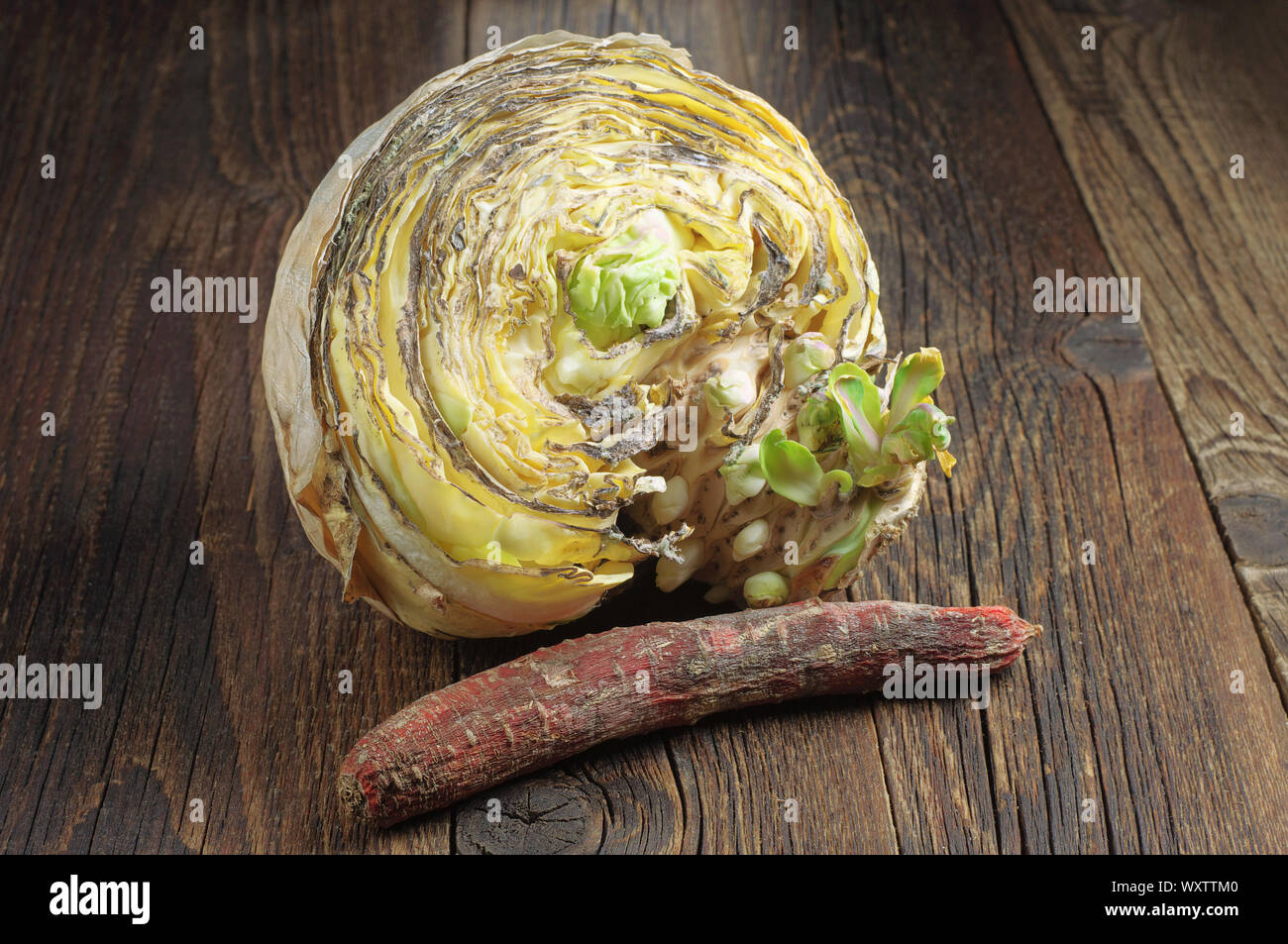 Rotten vegetables hi-res stock photography and images - Alamy