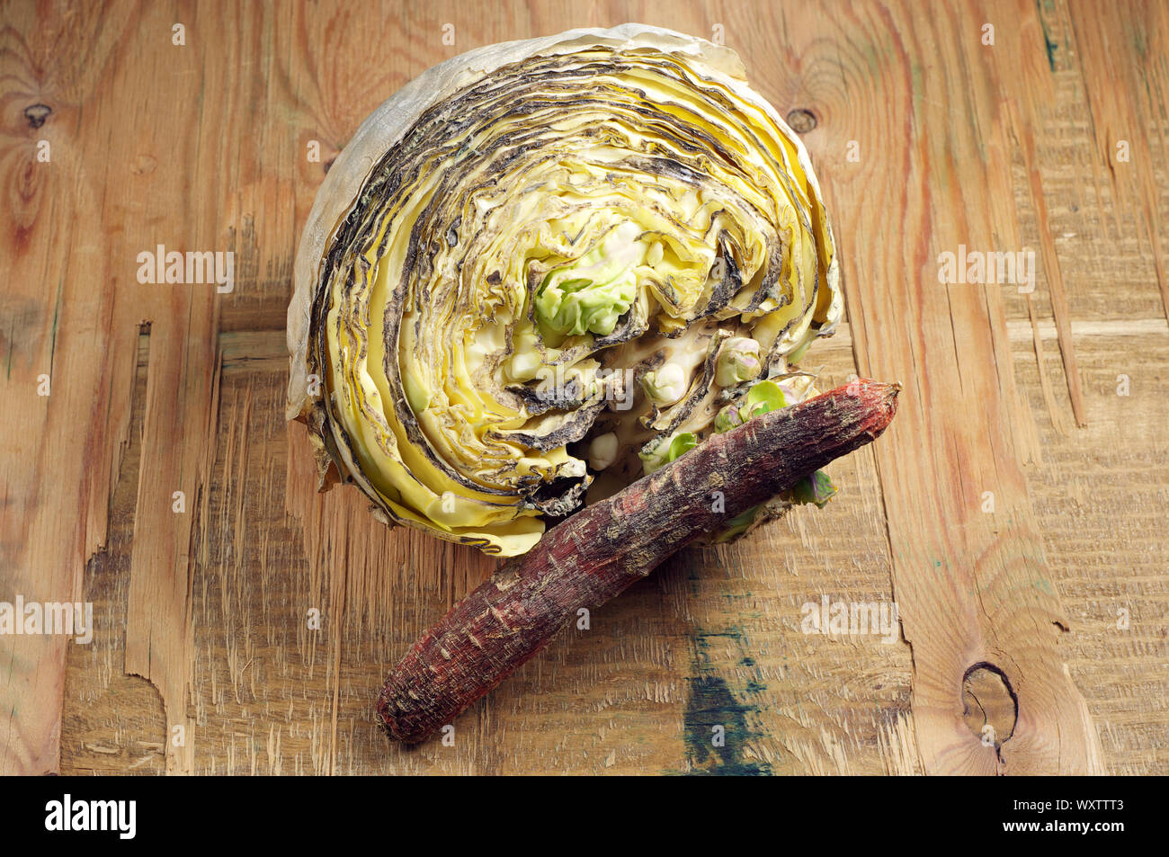Rotten cabbage and carrot on dark wooden background Stock Photo - Alamy Rotten cabbage and carrot on dark wooden background Stock Photo - Alamy