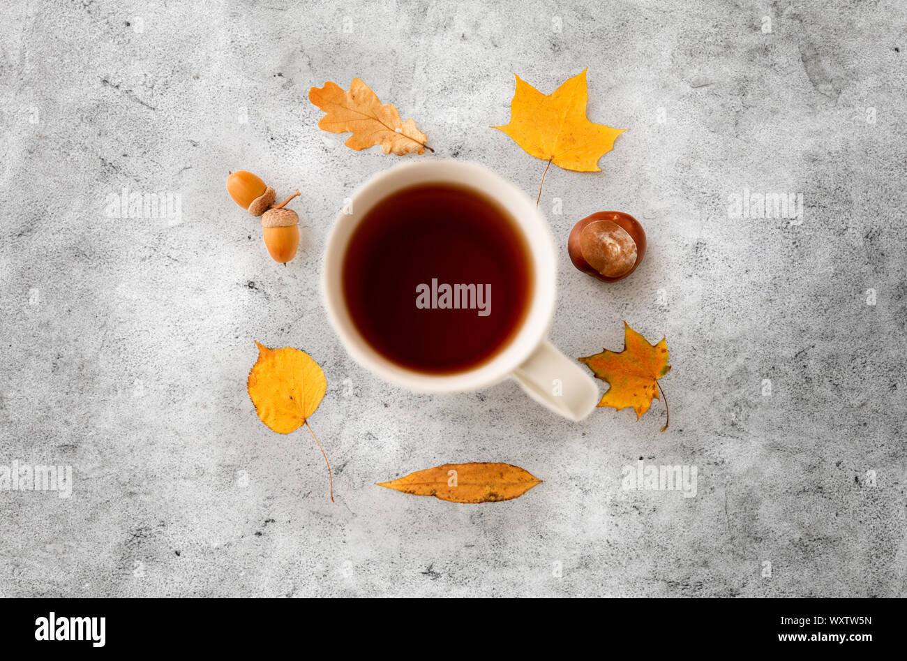 drinks, season and people concept - cup of black tea, autumn leaves ...