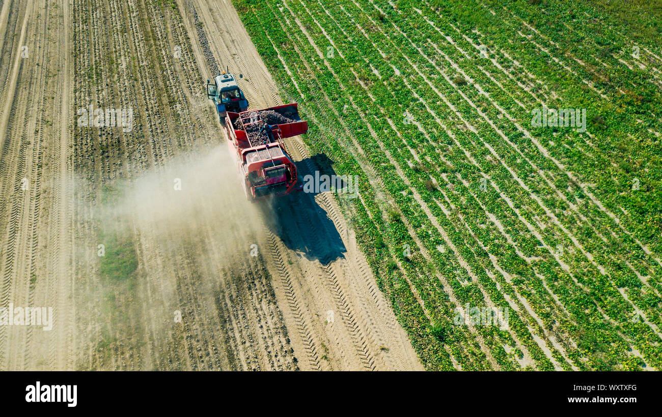Harvesting sugar beet aerial hi-res stock photography and images - Alamy