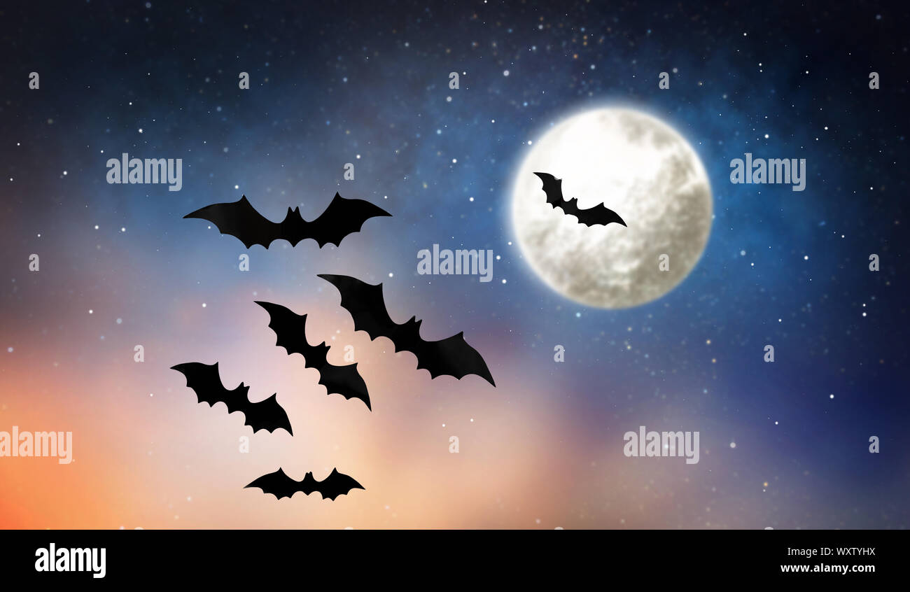 halloween and decoration concept - black bats flying over moon in ...