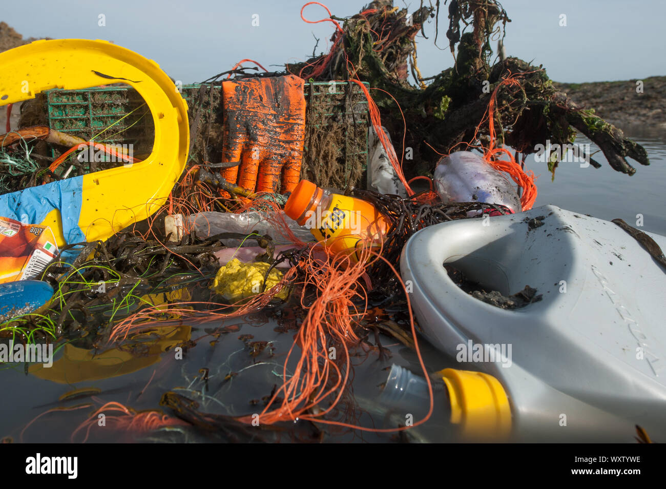 Harrowing environment hi-res stock photography and images - Alamy