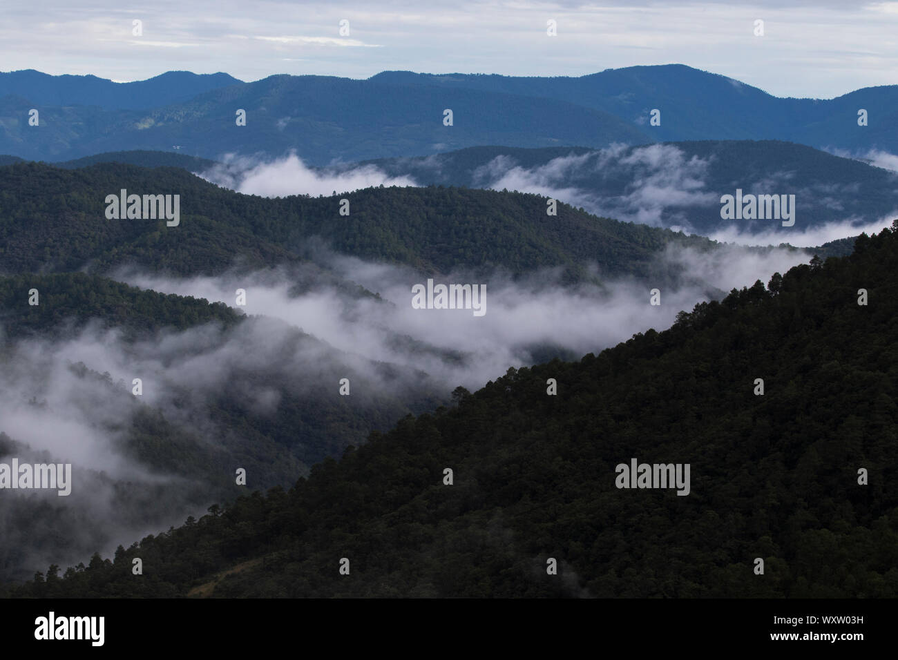 Blue misty hills hi-res stock photography and images - Alamy
