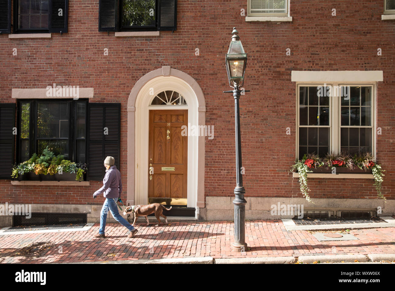 Woman walking dog in W. Cedar Street in the Beacon Hill historic ...