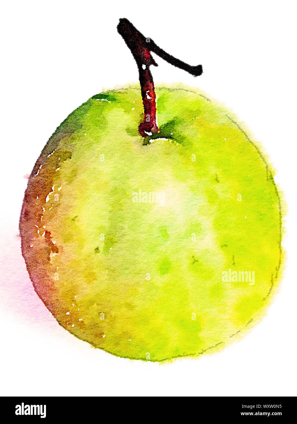 Closeup of colorful watercolor hand-painted art illustration : ruby ...