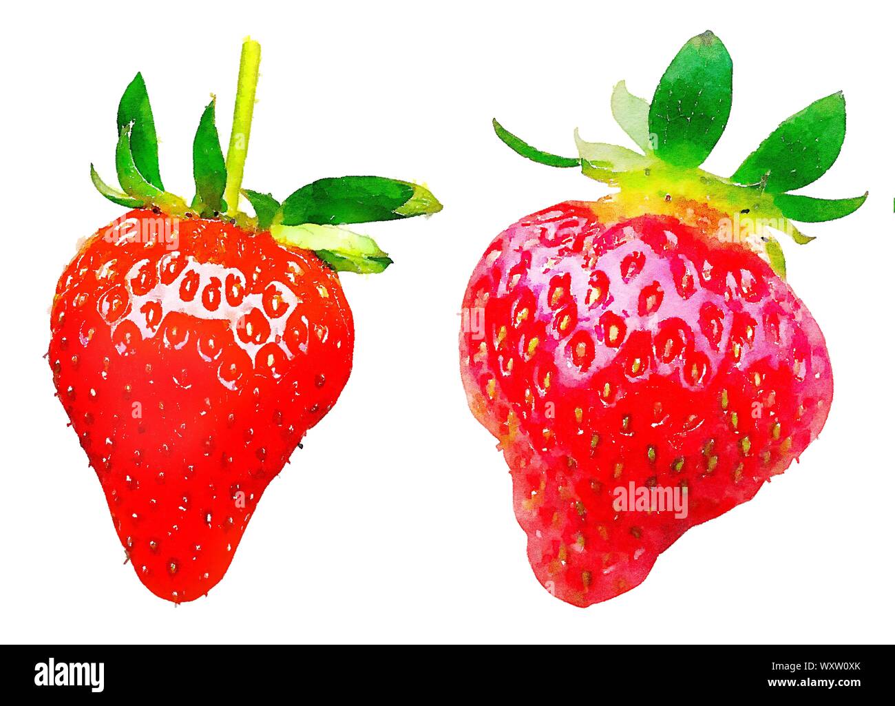 Closeup of colorful watercolor hand-painted art illustration ...